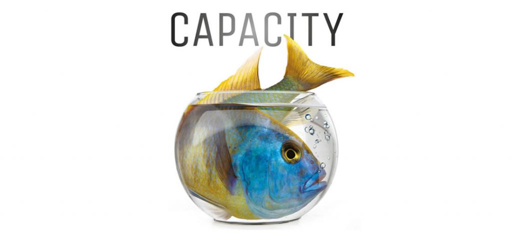 Capacity: Create Laser Focus, Boundless Energy, and an Unstoppable ...