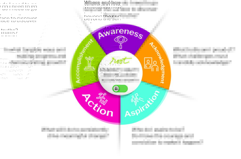 DEI Wheel | Root, a part of Accenture