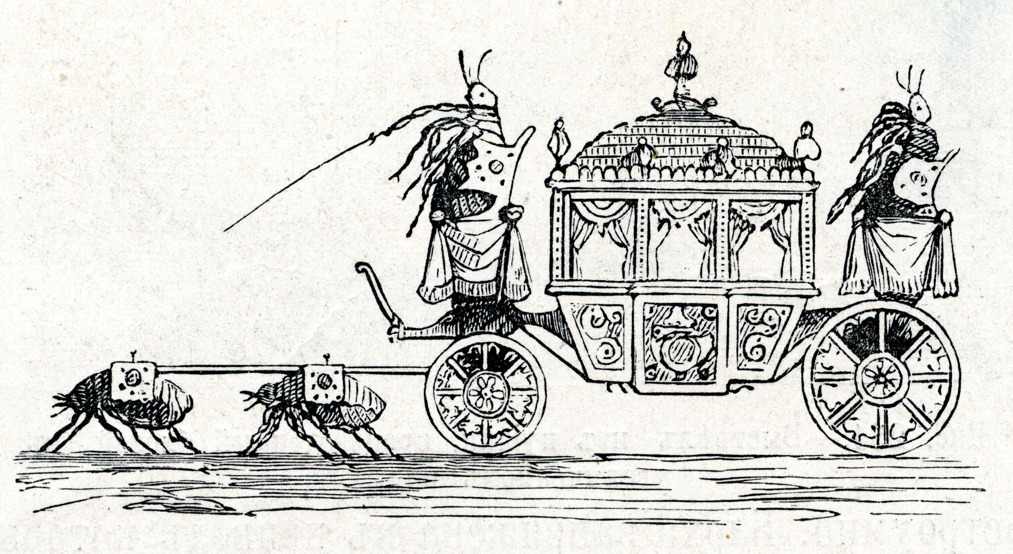 Leadership Lessons from the Flea Circus | Root Inc